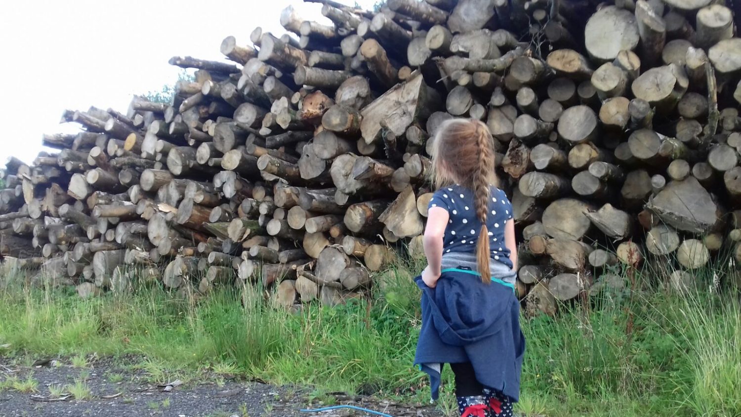 Home | Cheshire Firewood Company